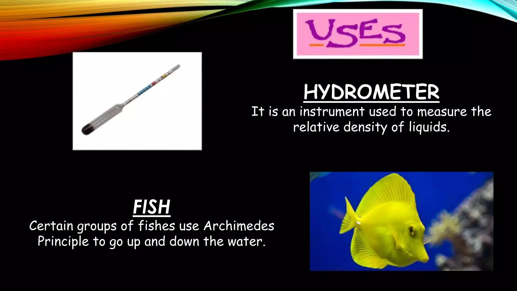 Archimede's Principle | PPTX