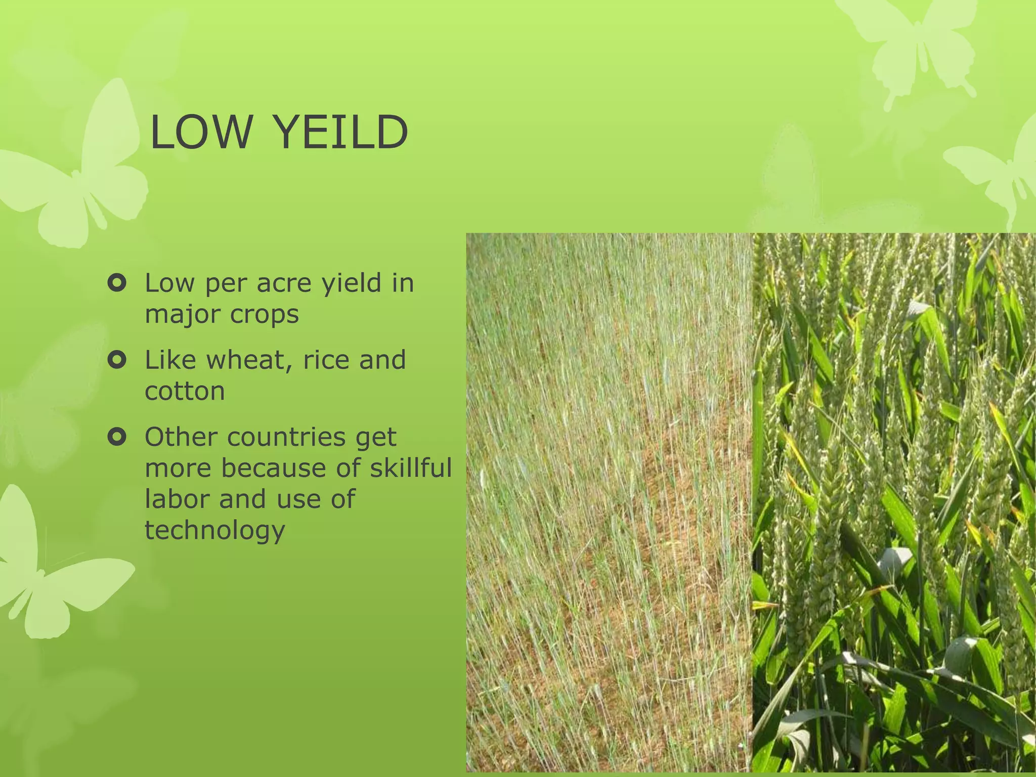 agricultural problems in Pakistan | PPTX