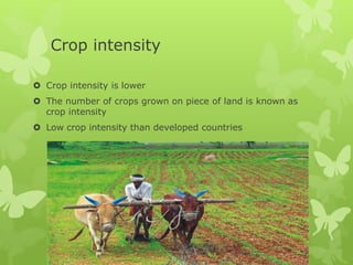 agricultural problems in Pakistan | PPTX