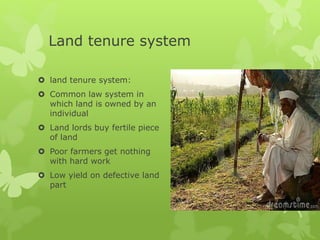 agricultural problems in Pakistan | PPTX