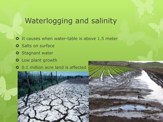 agricultural problems in Pakistan | PPTX