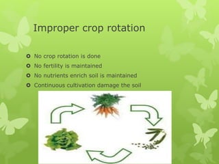 agricultural problems in Pakistan | PPTX
