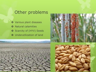 agricultural problems in Pakistan | PPTX
