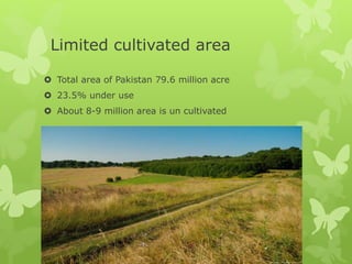 agricultural problems in Pakistan | PPTX