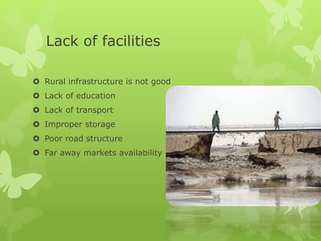 Agricultural Problems In Pakistan Pptx Agriculture Industries