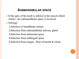 Submental Space