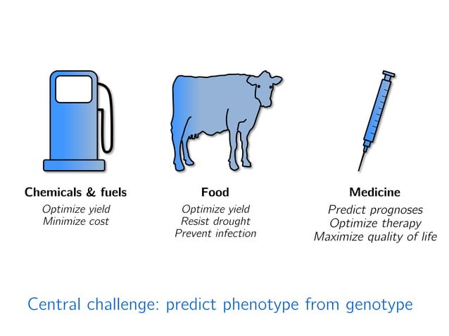 Introduction to whole-cell modeling lecture | Whole-cell modeling ...