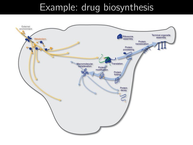 Introduction to whole-cell modeling lecture | Whole-cell modeling ...