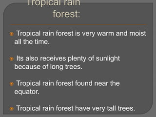 tropical rain forest | PPT