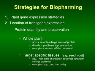 Biopharming | PPT