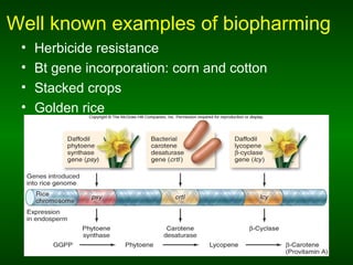 Biopharming | PPT