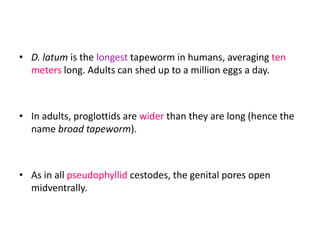 Diphyllobothrium Latum | PPTX