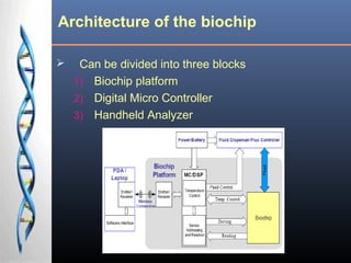 Bio Chip Presentation | PPT