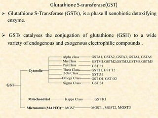 GSTM1 Gene Polymorphism in Sporadic Breast Cancer Patients | PPT