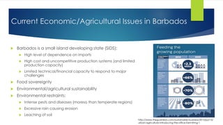 An Introduction to Urban Agriculture: Cuba Paving the Way For Barbados ...
