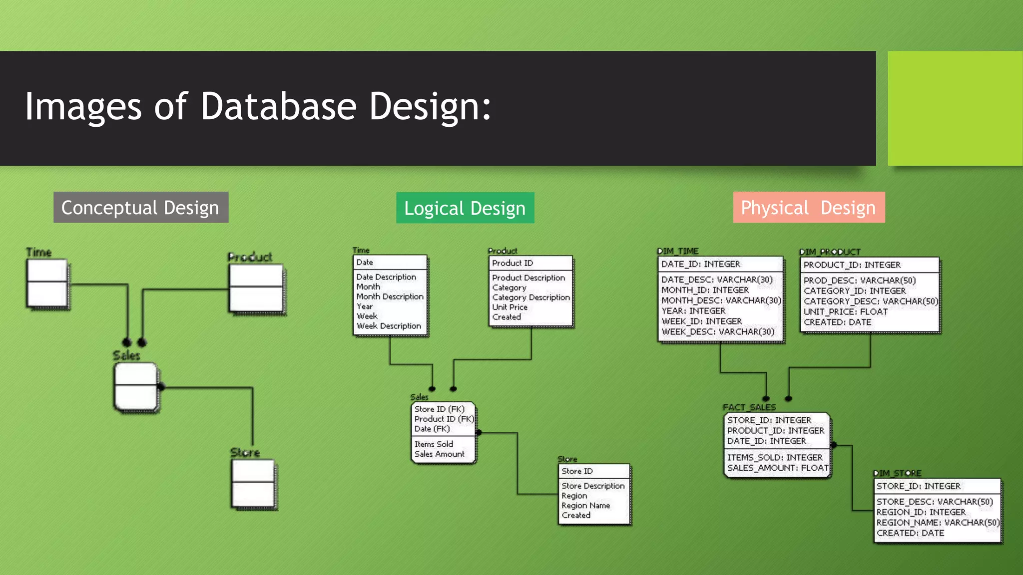 Life cycle of Database Management System Development | PPTX