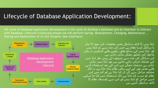 Life cycle of Database Management System Development | PPTX