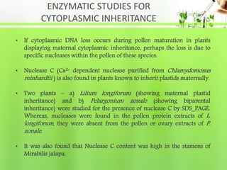 Cytoplasmic Inheritance | PPTX