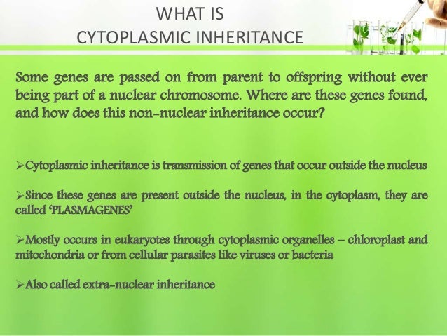 Cytoplasmic Inheritance