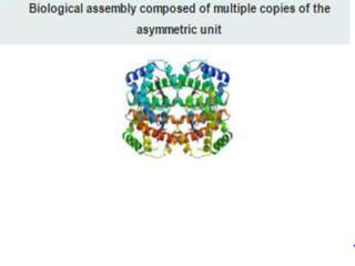 Application of Biological Assemblies in NanoBiotechnology PPt | PPTX