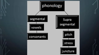 Phonetics And Phonology Presentation | PPTX