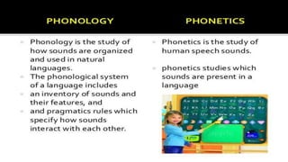 Phonetics And Phonology Presentation | PPTX