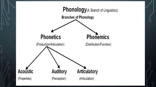 Phonetics And Phonology Presentation | PPTX