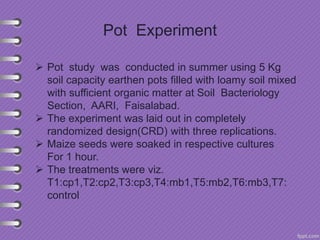 Internship report | PPT