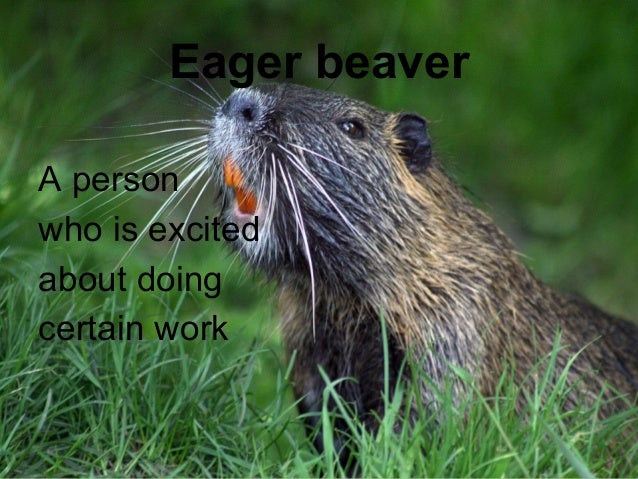 Idiomatic expressions animals