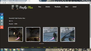 Fireflyplus.com | PPTX