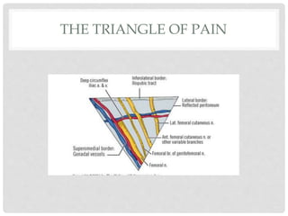 Triangle Of Doom And Pain