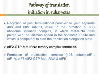 eukaryotic translation initiation and its regulation | PPTX