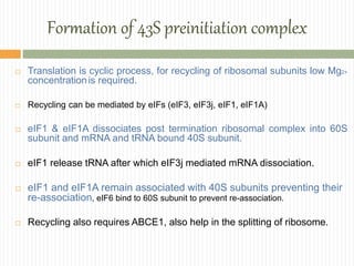 eukaryotic translation initiation and its regulation | PPTX