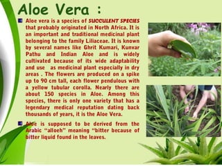 ALOE VERA | PPTX