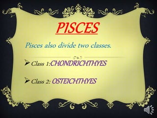 Presentation | PPT | Free Download