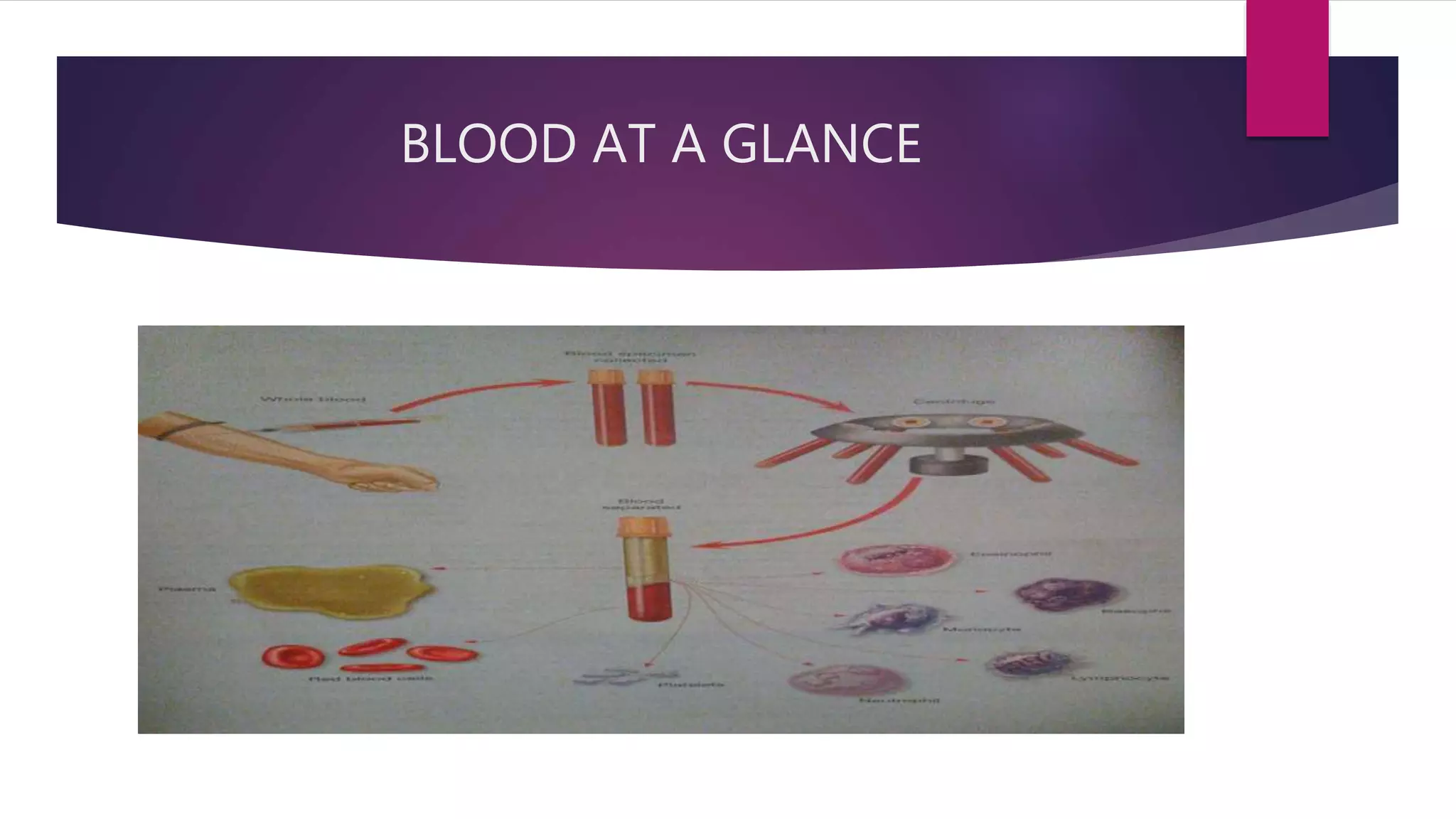 Blood and Lymphatic and Immune System | PPTX