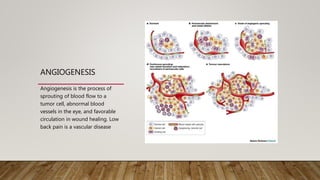 Inflammation | PPT