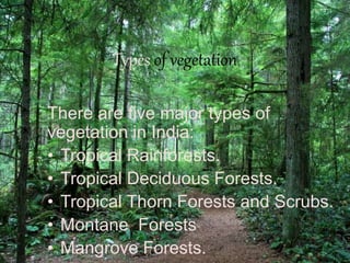 natural vegetation and wildlife | PPTX