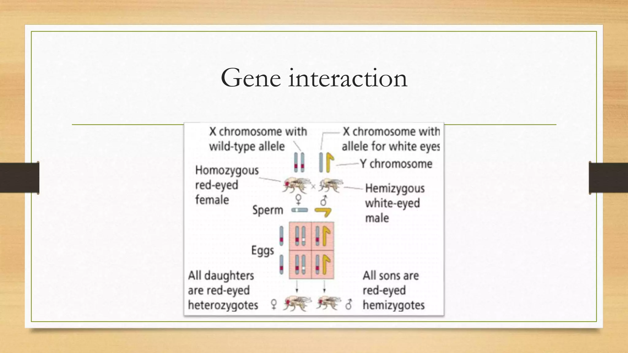 principle of inheritance | PPTX
