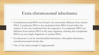principle of inheritance | PPTX