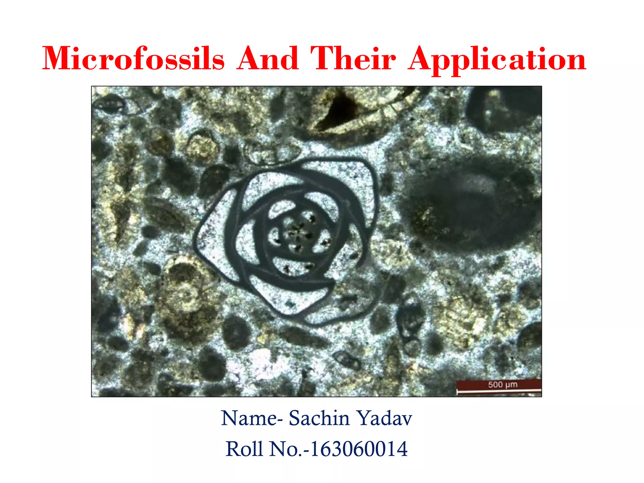 Microfossils and their Applications in petroleum Industry | PDF