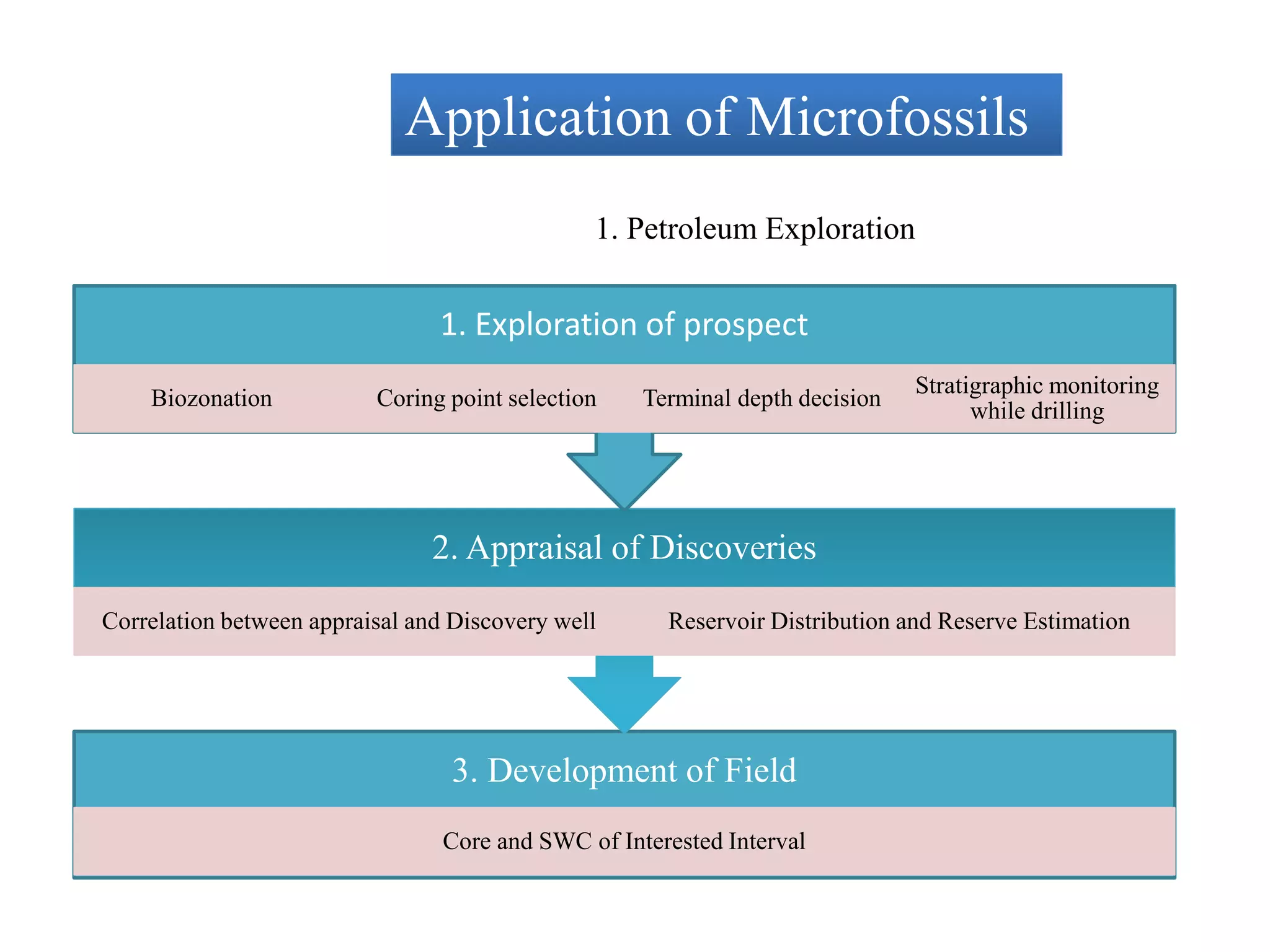 Microfossils and their Applications in petroleum Industry | PDF ...