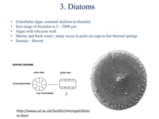 Microfossils and their Applications in petroleum Industry | PDF