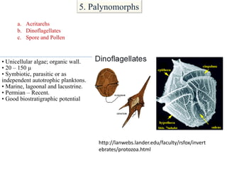 Microfossils and their Applications in petroleum Industry | PDF