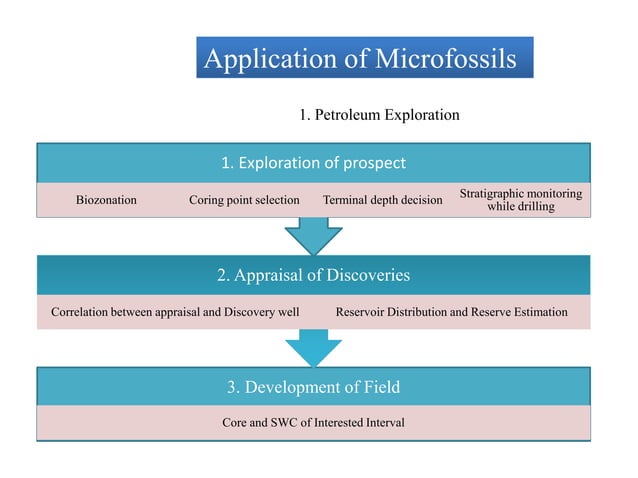 Microfossils and their Applications in petroleum Industry | PDF | Geography | Science