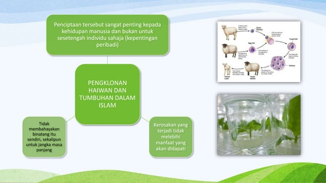 CTU211: Sains dan Teknologi Islam - Pengklonan Dalam Islam | PPT