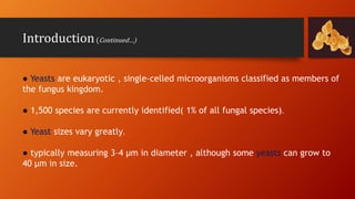 yeasts | PPTX
