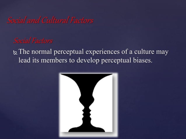 Perception and Illusion | PPTX | Science