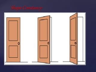 Definition Of Shape Constancy