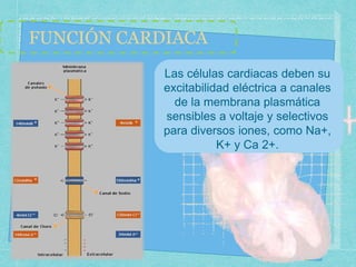 Fisiología cardiaca | PPTX
